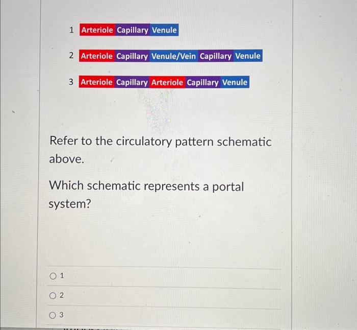 Solved Refer to the circulatory pattern schematic above. | Chegg.com
