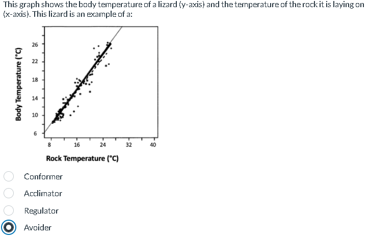 Solved This graph shows the body temperature of a lizard | Chegg.com