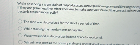 Solved While observing a gram stain of Staphylococcus aureus | Chegg.com