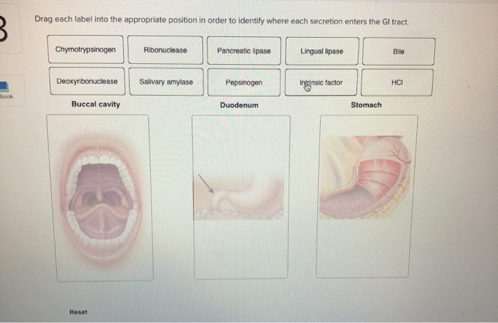 Solved Drag each label into the appropriate position in | Chegg.com