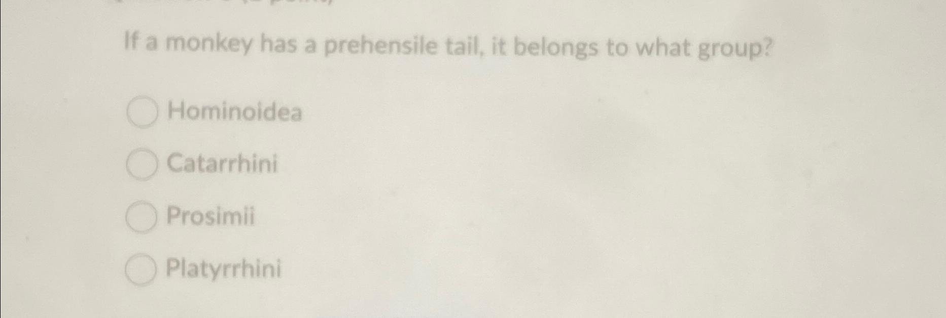 Solved If a monkey has a prehensile tail, it belongs to what | Chegg.com