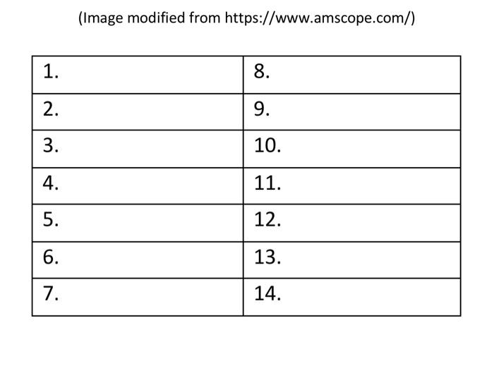 Solved The Microscope (Image modified from | Chegg.com