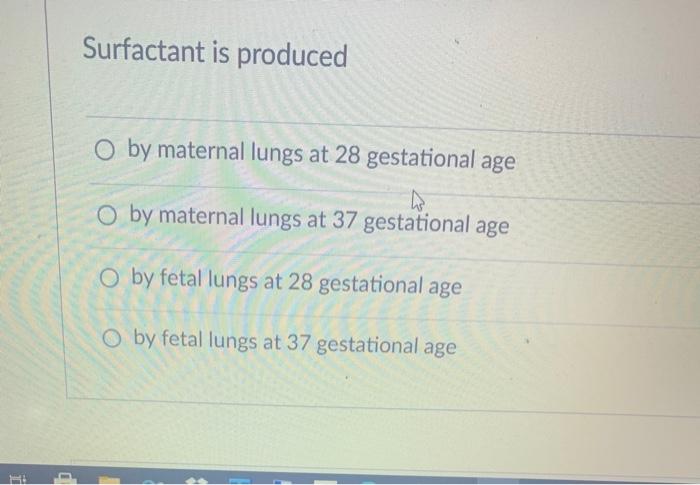 Solved Surfactant is produced O by maternal lungs at 28 | Chegg.com