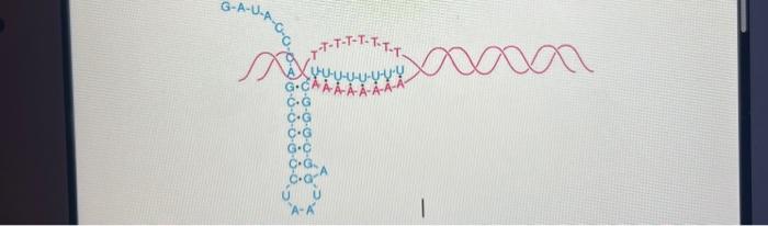 Solved The drawing below depicts a rho-independent | Chegg.com
