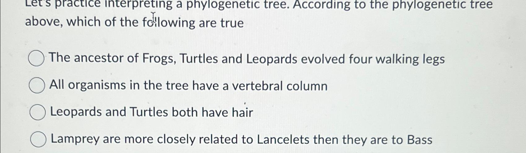 Solved Let s practice interpreting a phylogenetic tree. | Chegg.com