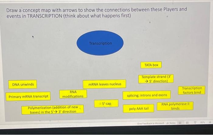 Solved Draw a concept map with arrows to show the | Chegg.com