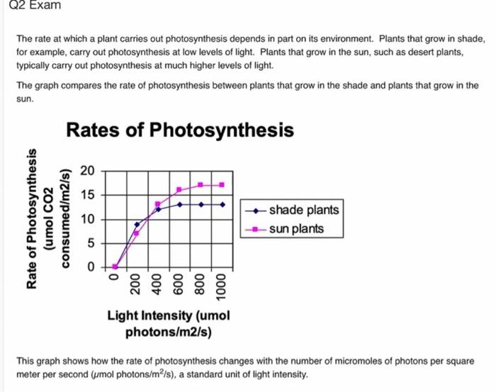 Solved The rate at which a plant carries out photosynthesis | Chegg.com