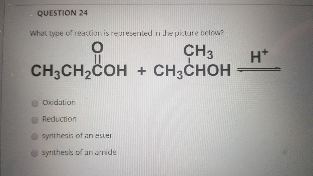 Solved QUESTION 24 What type of reaction is represented in | Chegg.com