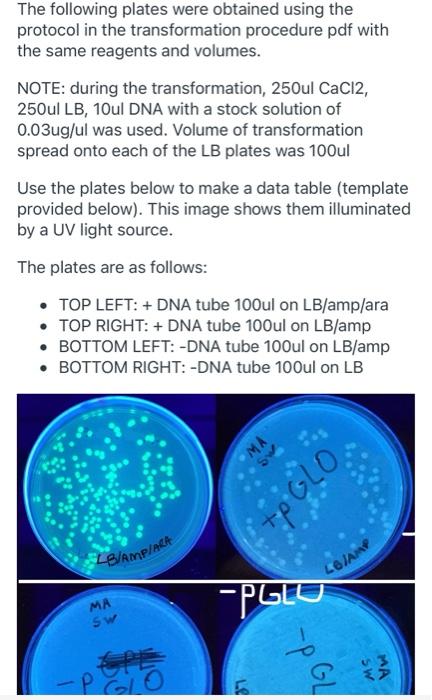 Solved The following plates were obtained using the protocol | Chegg.com