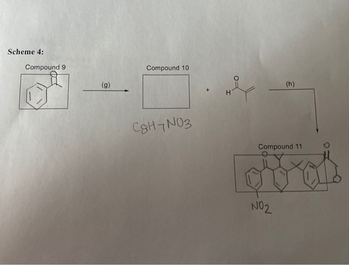 Solved Scheme 4: Compound 9 Compound 10 (g) (h) H C&H NO3 | Chegg.com
