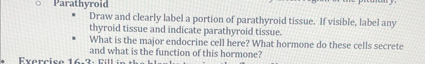 Solved Draw and clearly label a portion of parathyroid | Chegg.com