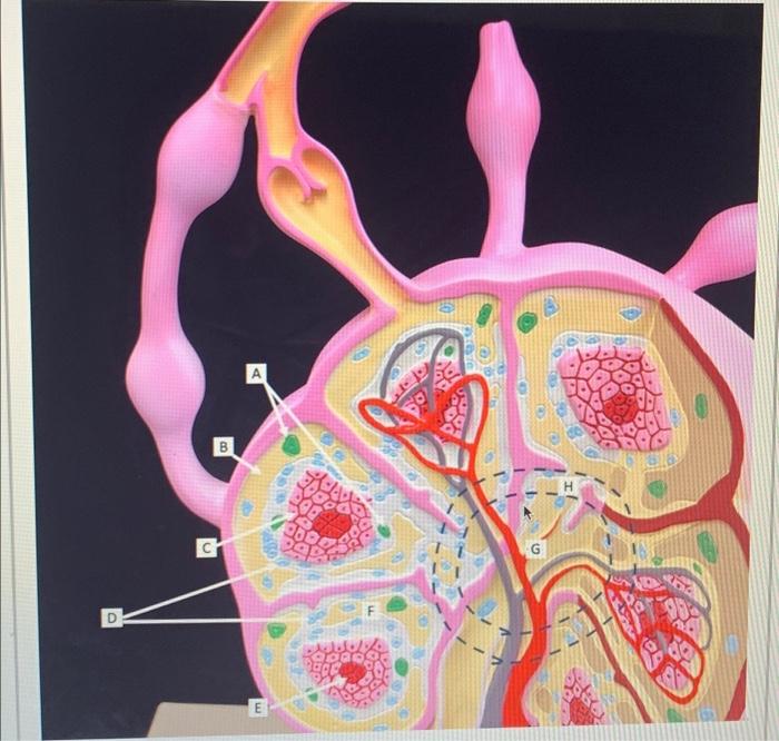 Solved identify structures a-h | Chegg.com