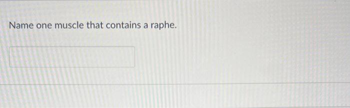 Solved Name one muscle that contains a raphe. Name the | Chegg.com