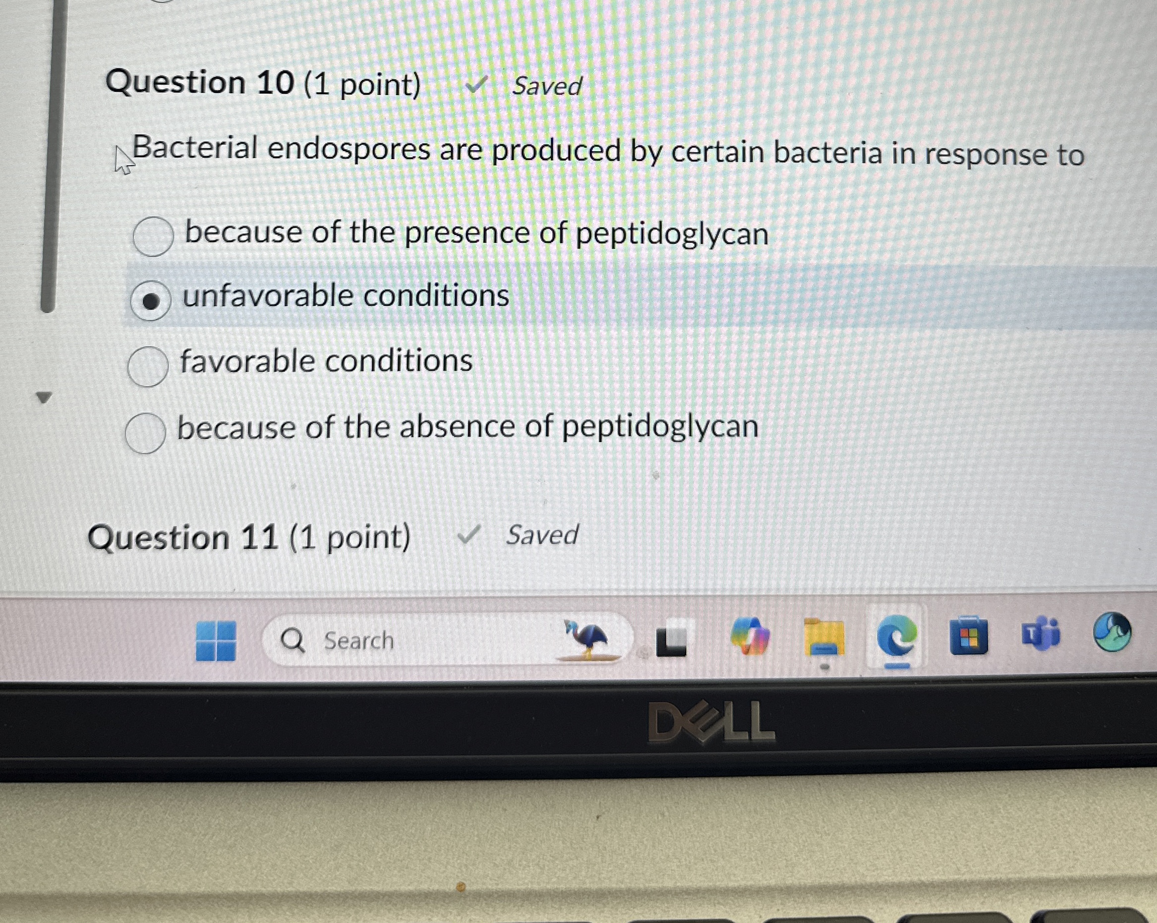 Solved Question 10 (1 ﻿point)Bacterial endospores are | Chegg.com