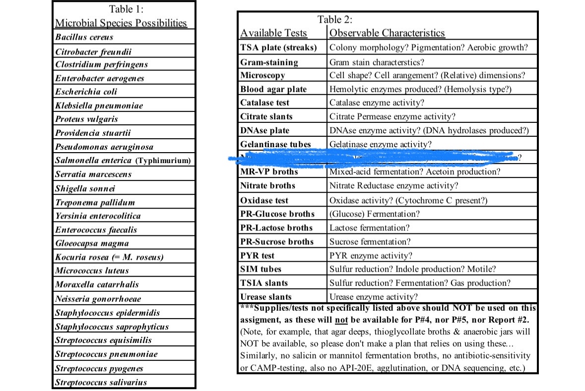 Solved Please create a dichotomous key Showing how to | Chegg.com