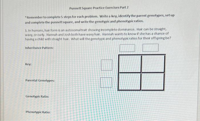 Solved Punnett Square Practice Exercises Part 2 * Remember | Chegg.com