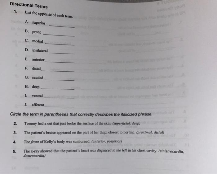 Solved Directional Terms 1. List the opposite of each term. | Chegg.com