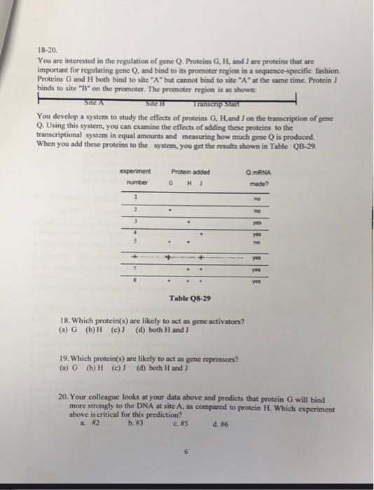 Solved 18-20. You are interested in the regulation of gene | Chegg.com