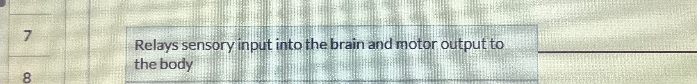 Solved Relays sensory input into the brain and motor output | Chegg.com