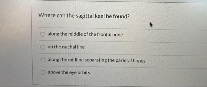 Solved Where can the sagittal keel be found? along the | Chegg.com