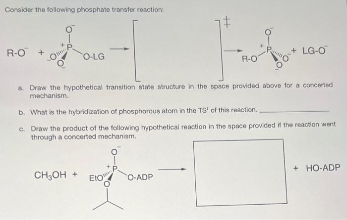 Solved Consider the following phosphate transfer reaction: | Chegg.com