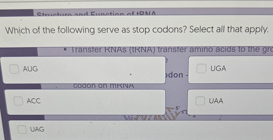 Solved Which of the following serve as stop codons? Select | Chegg.com