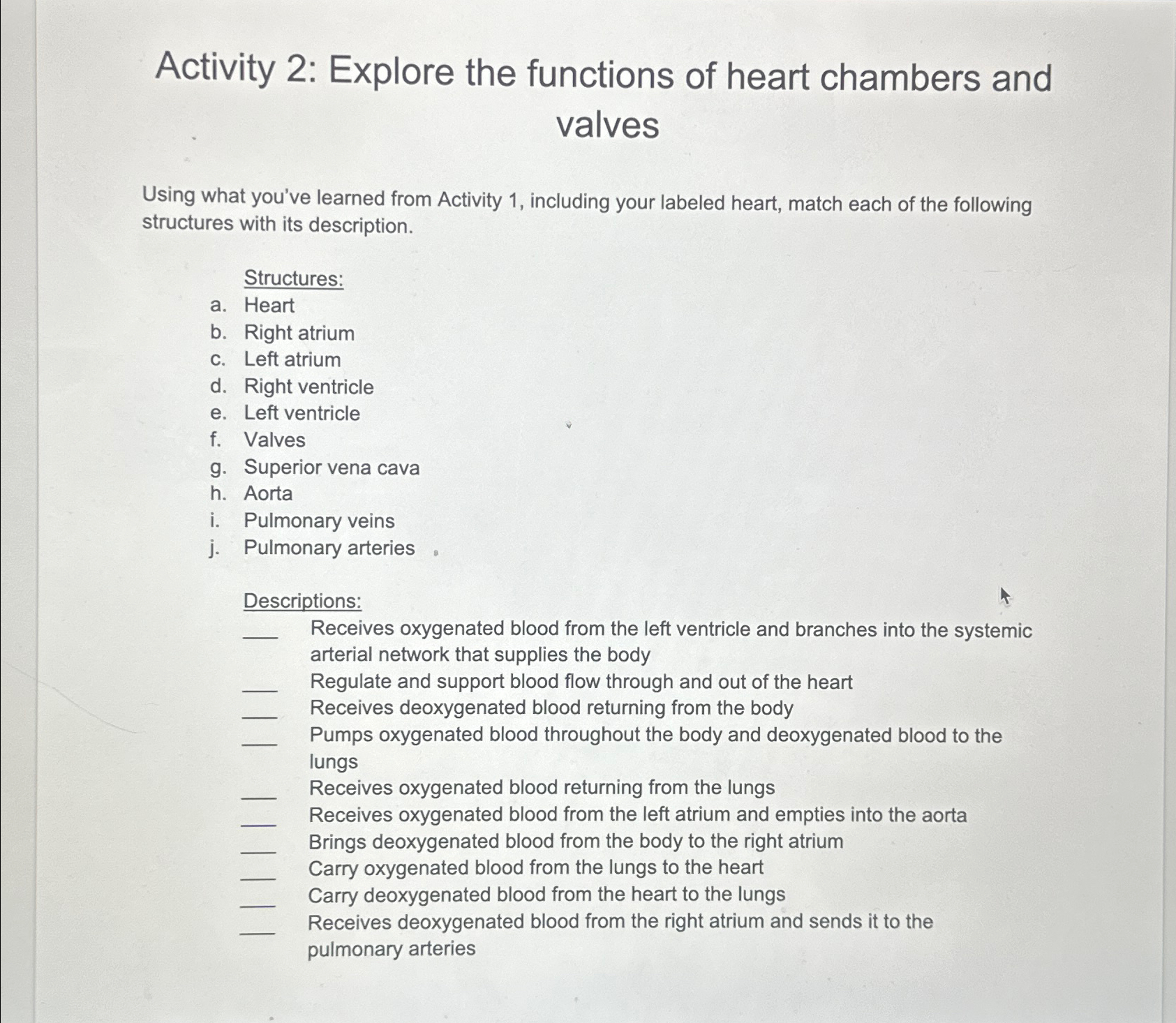 Solved Activity 2: Explore the functions of heart chambers | Chegg.com