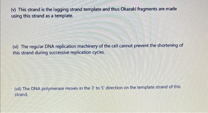 Solved Below is a diagram showing the template strands of a | Chegg.com