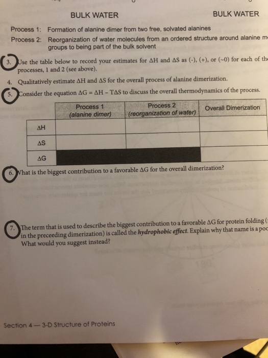 Solved BULK WATER BULK WATER Process 1: Formation of alanine | Chegg.com