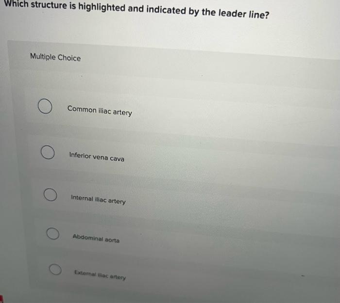 Solved Which structure is highlighted and indicated by the | Chegg.com