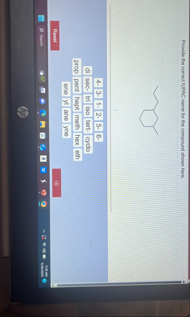 Solved Provide the correct IUPAC name for the compound shown | Chegg.com