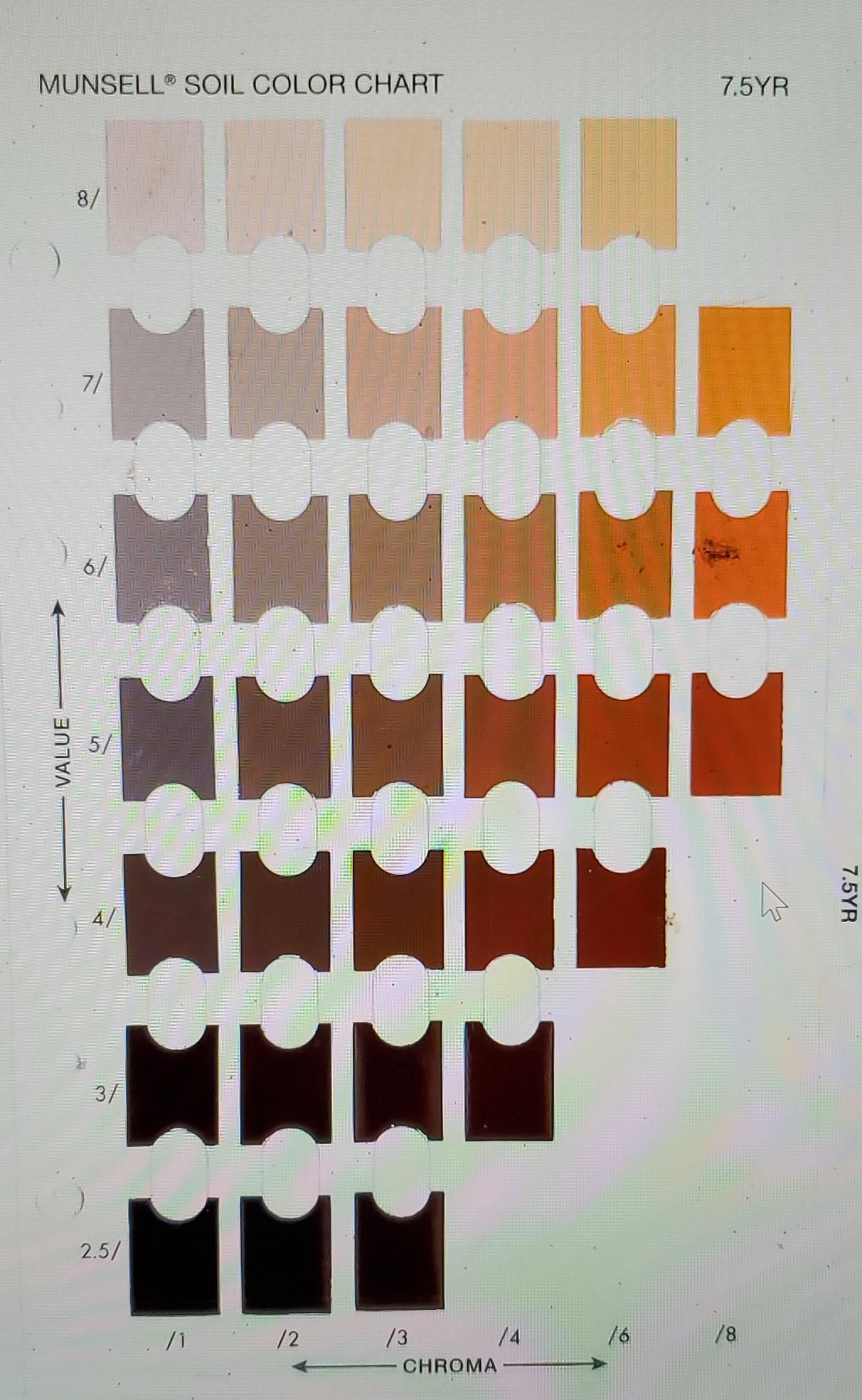 Color Exercise For Color, you should put your answer | Chegg.com