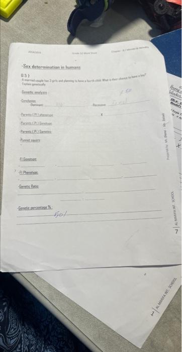 Solved - Sex deterasieation in humass a 57 Fenenc amelyzik | Chegg.com