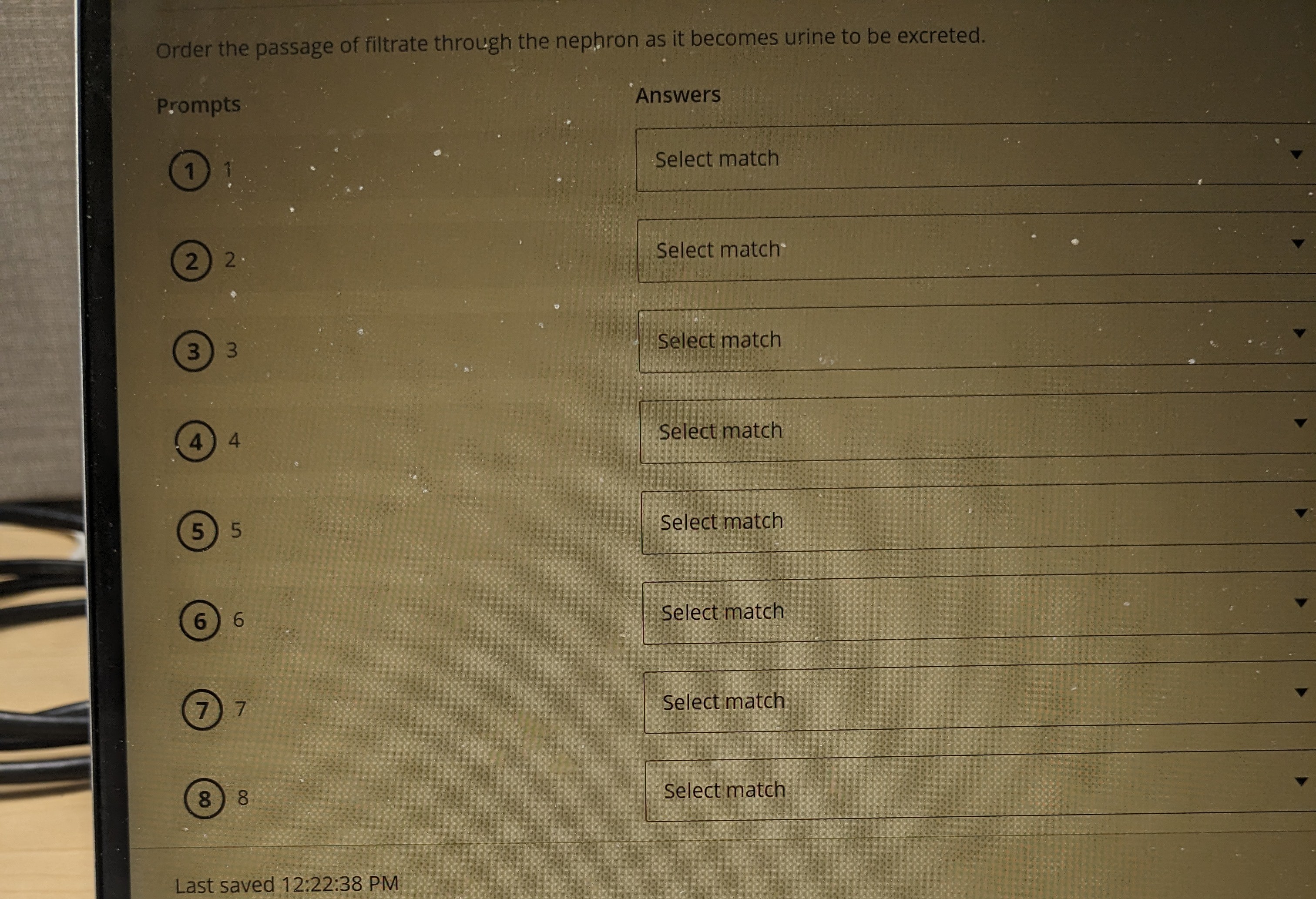 Solved Order the passage of filtrate through the nephron as | Chegg.com