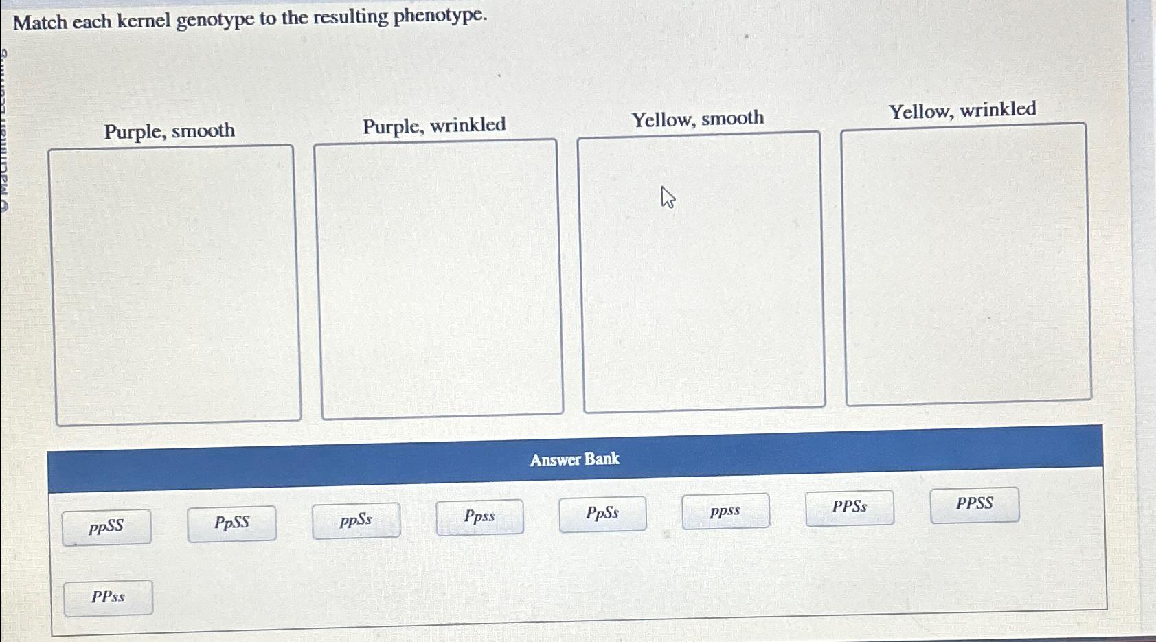 Solved Match each kernel genotype to the resulting | Chegg.com