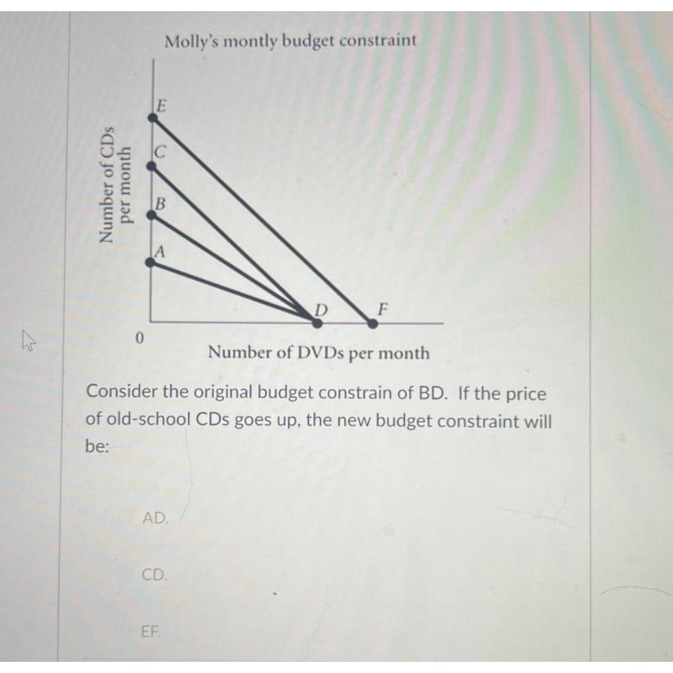 Solved Molly's montly budget constraintConsider the original | Chegg.com