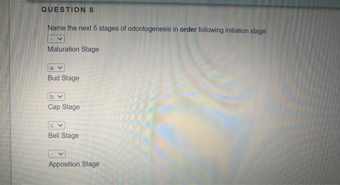Solved Name the next 5 stages of odontogenesis in order | Chegg.com