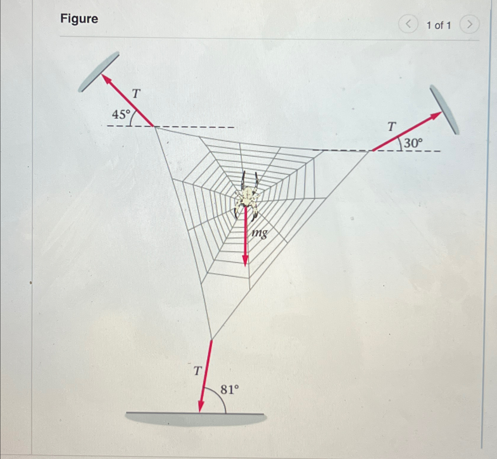 Solved An orb-weaver spider sits in her web that is | Chegg.com