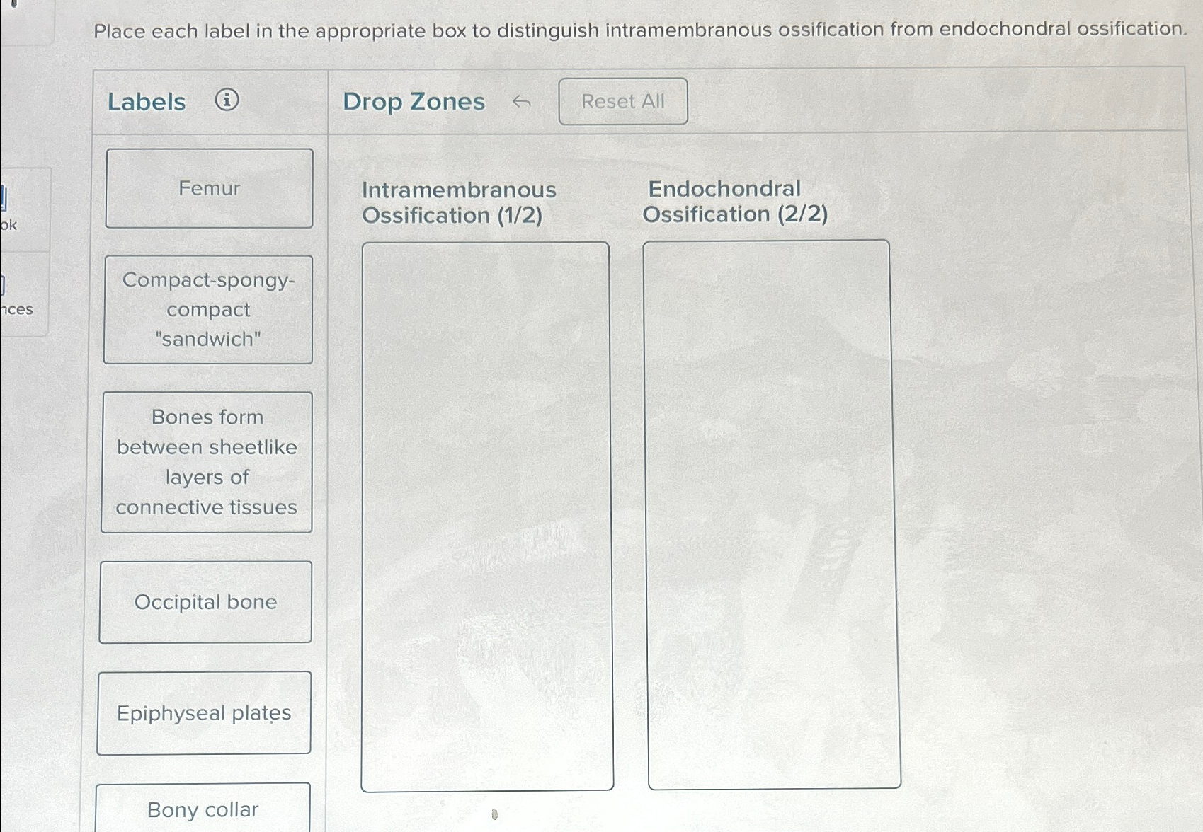 Solved Place each label in the appropriate box to | Chegg.com