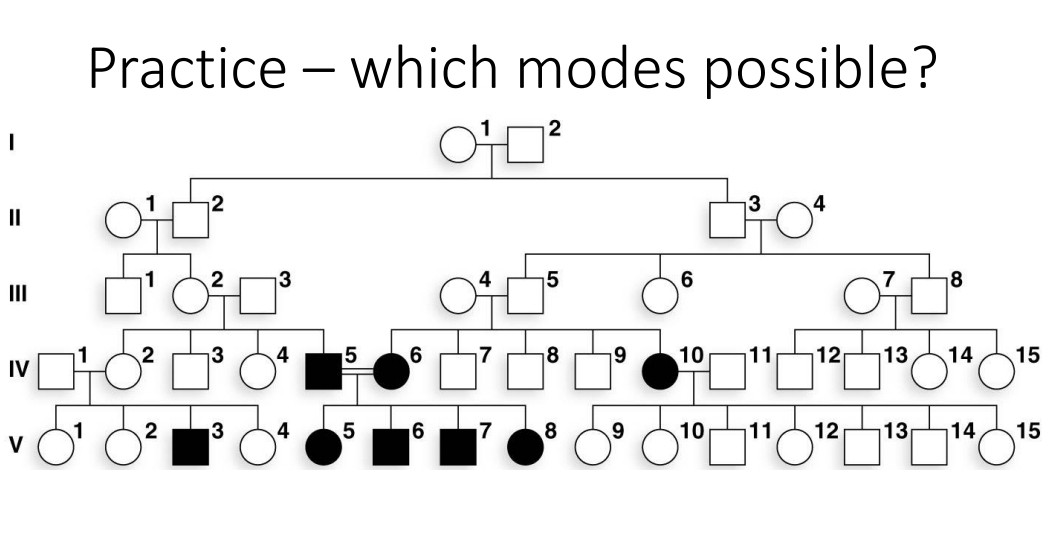 Solved Practice - ﻿which modes possible? | Chegg.com
