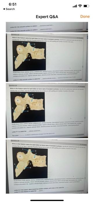 Solved can i please get help with these?Write in the feature | Chegg.com