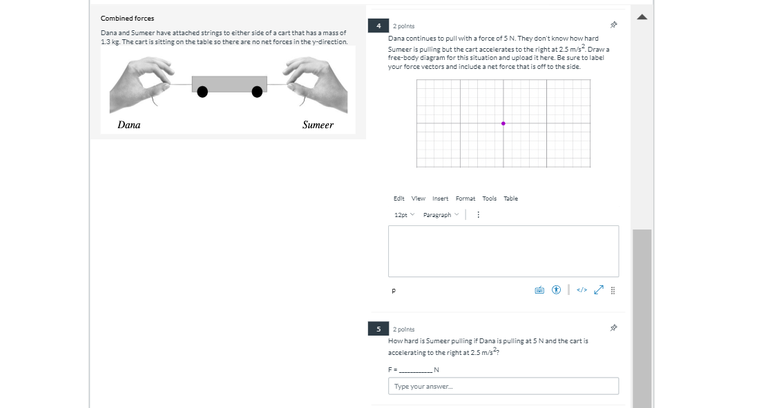 Solved Combined forcesDana and Sumeer have attached strings | Chegg.com