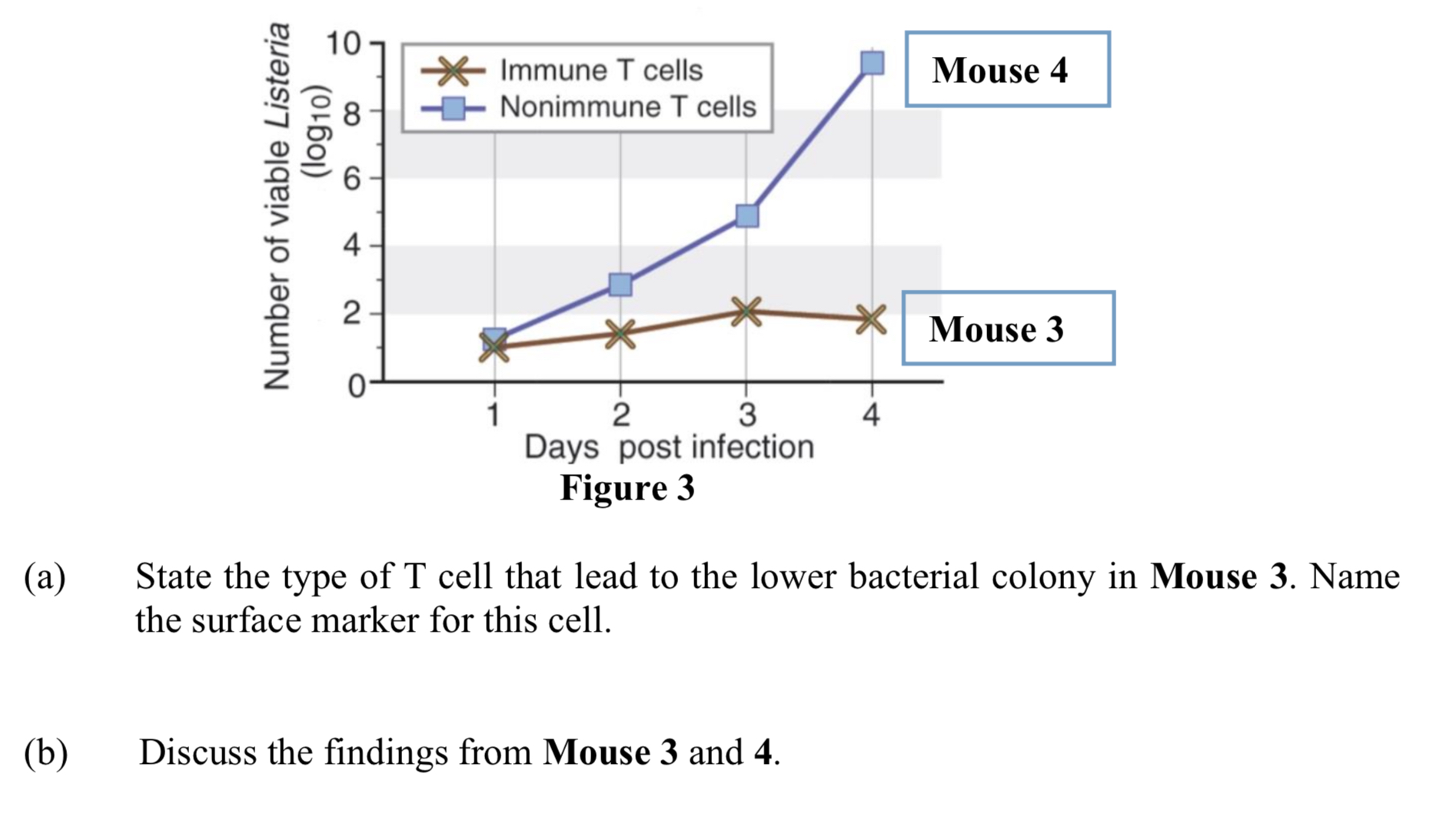 Solved In an experiment, a sample of immune T cells was | Chegg.com