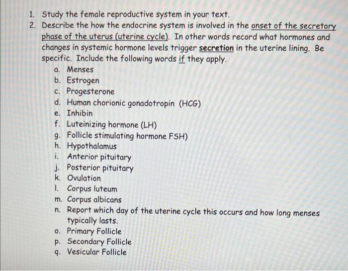 Solved 1. Study the female reproductive system in your text. | Chegg.com