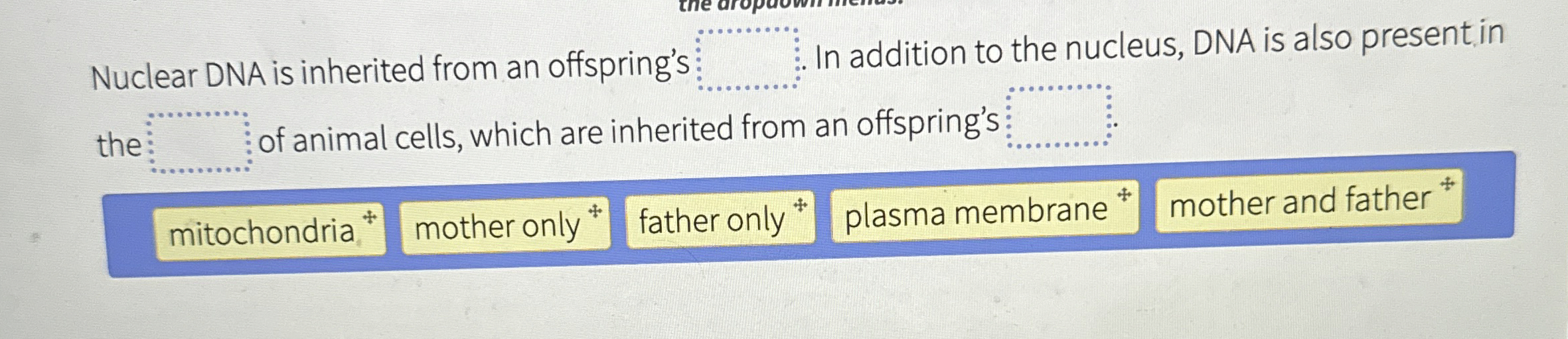 Solved Nuclear DNA is inherited from an offspring's q, ﻿In | Chegg.com