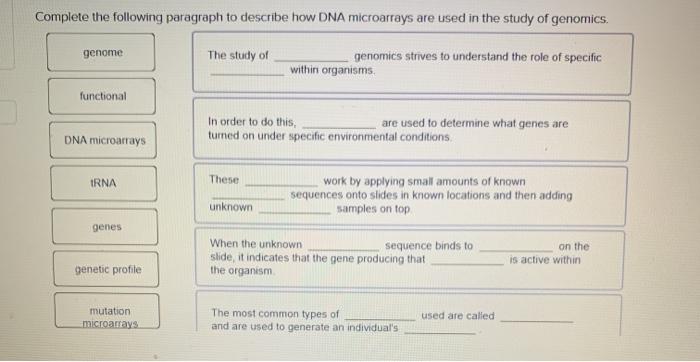 Solved Complete the following paragraph to describe how DNA | Chegg.com