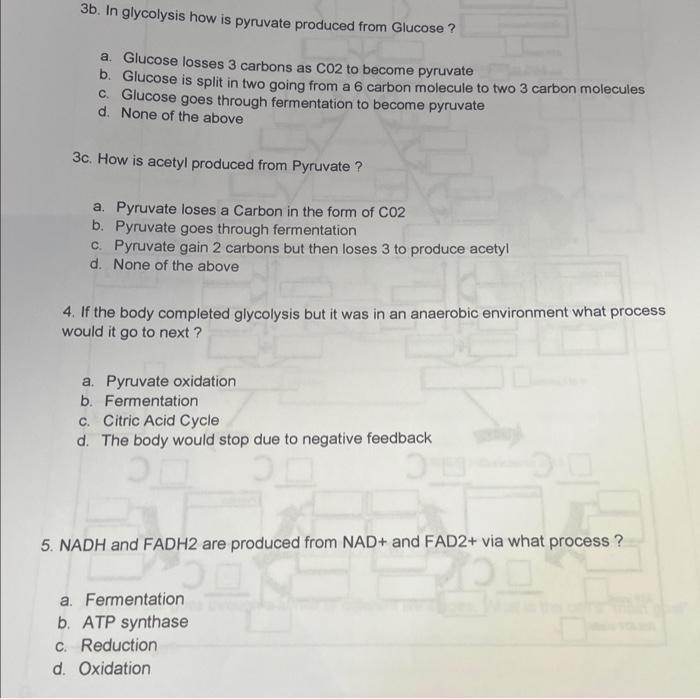 Solved 3b. In glycolysis how is pyruvate produced from | Chegg.com