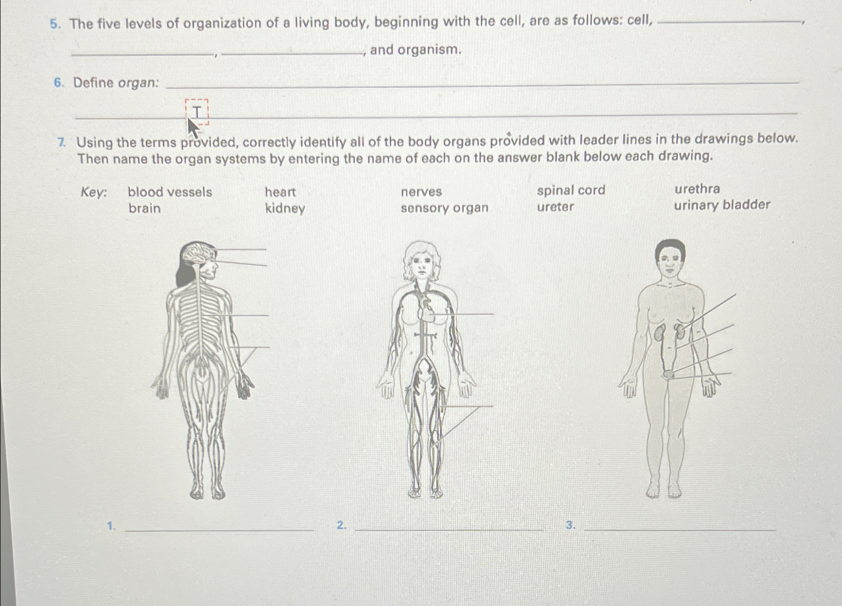 Solved The five levels of organization of a living body, | Chegg.com