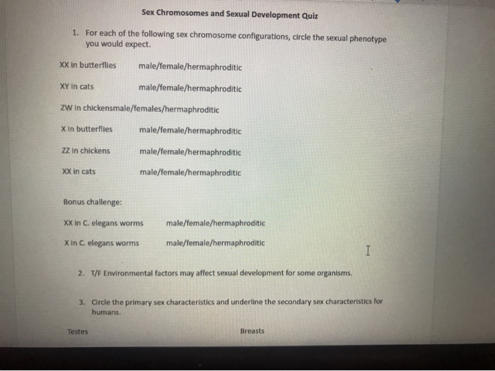 Sex Chromosomes And Sexual Development Quiz 1 For