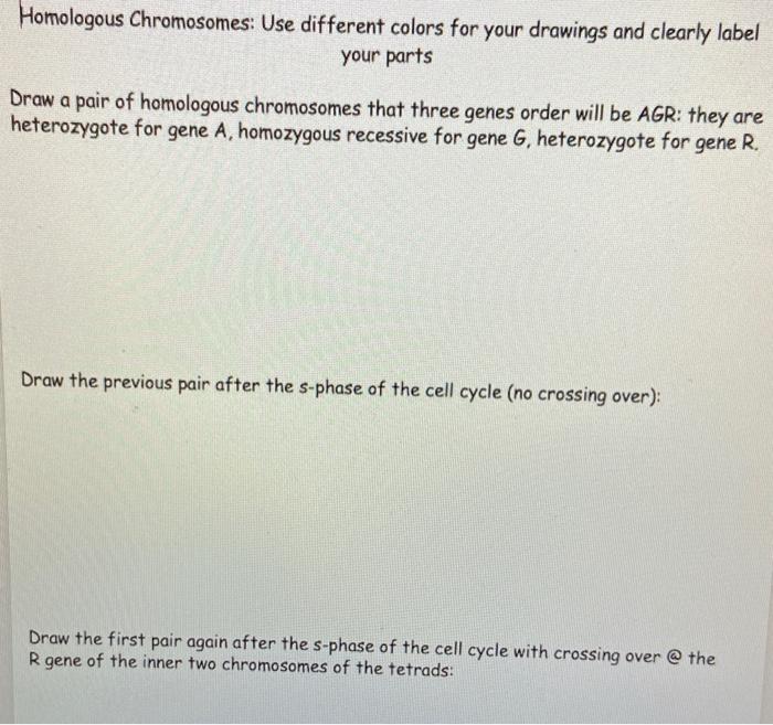 Solved Homologous Chromosomes: Use different colors for your | Chegg.com